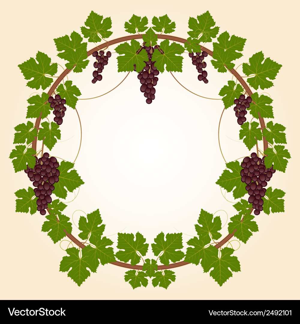 Grape round frame Royalty Free Vector Image - VectorStock