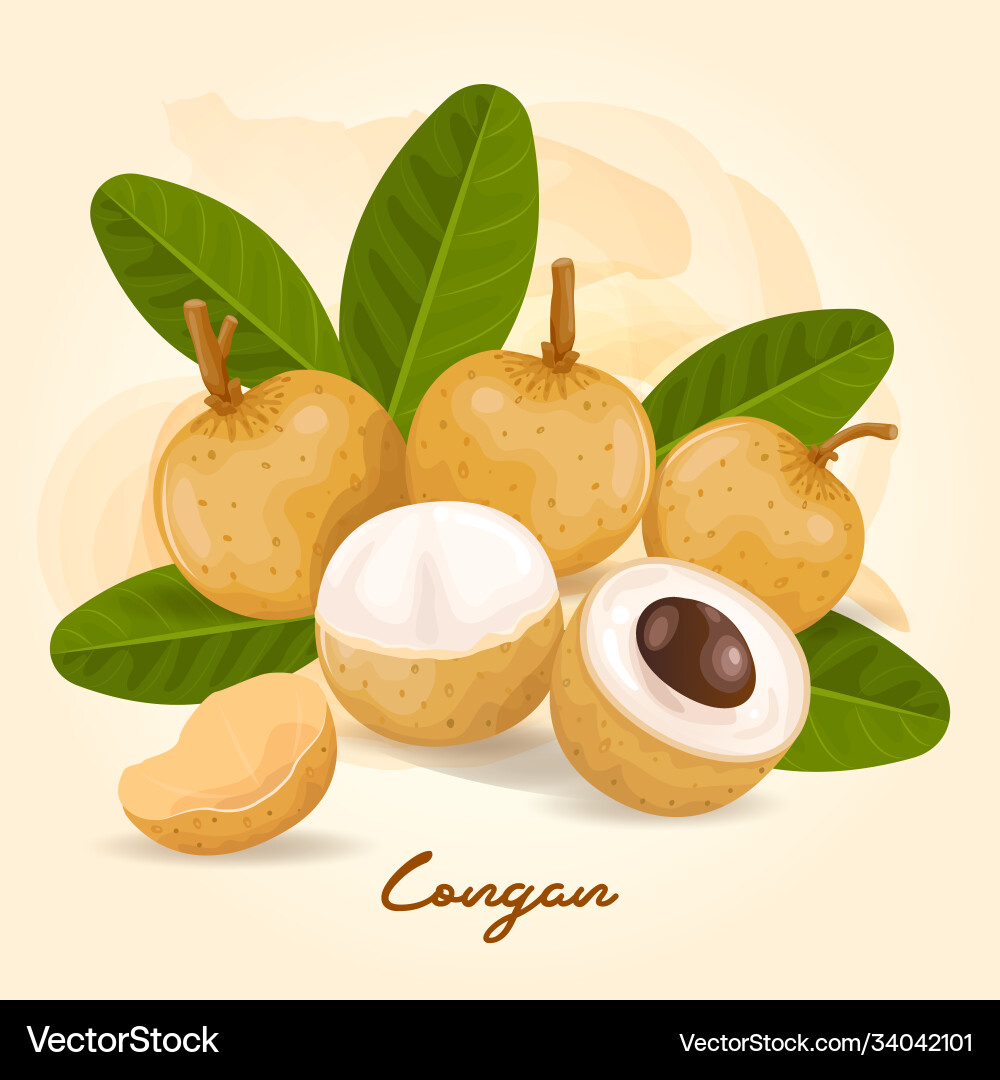 Logan Vector Images (over 200)