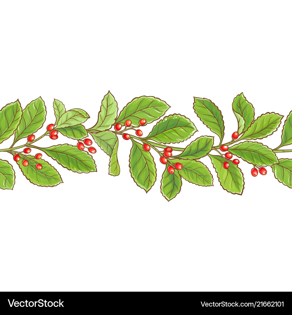 Yerba mate pattern Royalty Free Vector Image - VectorStock