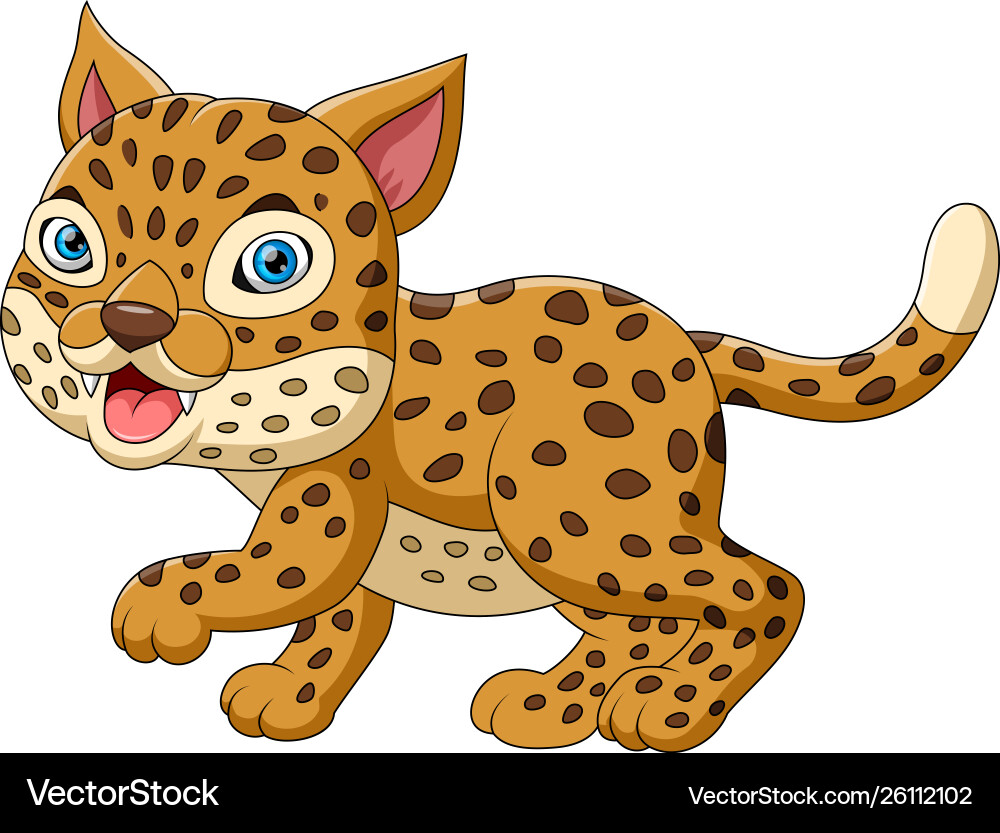 Cute leopard cartoon Royalty Free Vector Image
