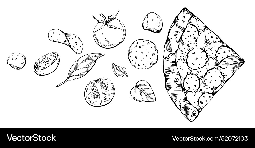 Hand drawn ink pepperoni pizza slice mozzarella Vector Image