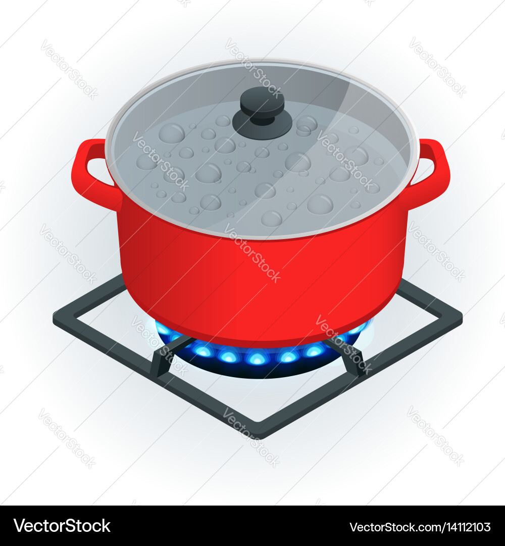 Isometric a pot on gas cooker white Royalty Free Vector