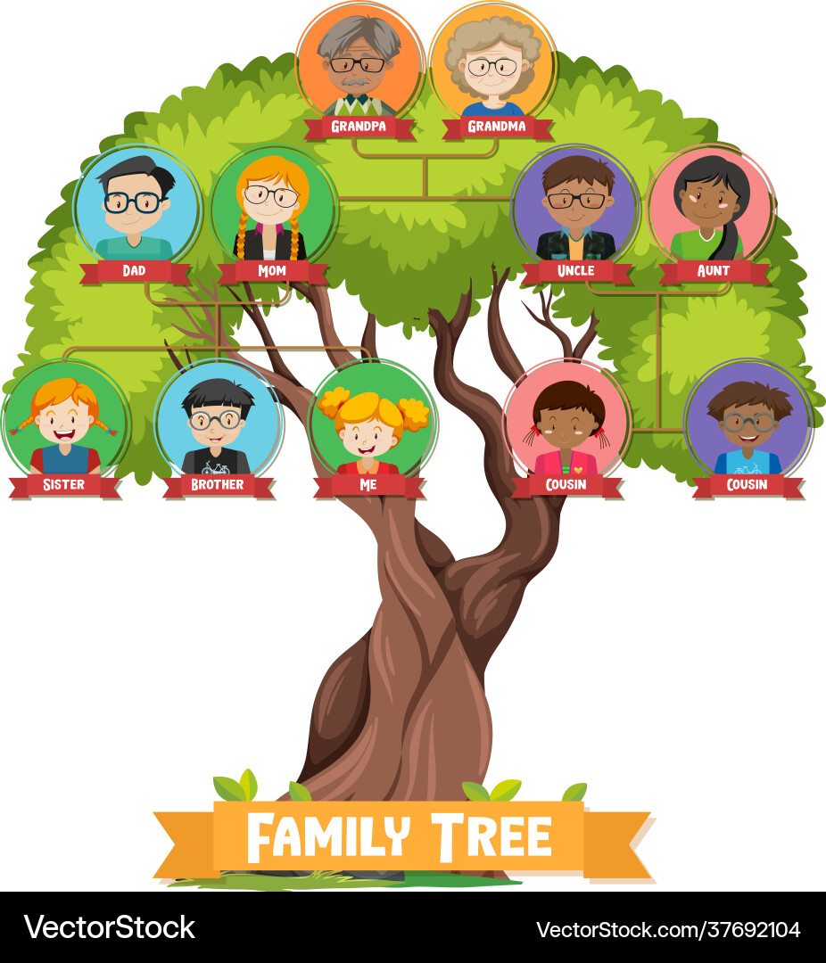 Diagram showing three generation family tree Vector Image