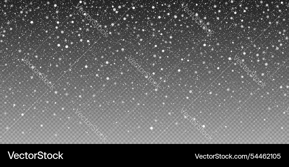 Clear snowflakes and frost white snow particles Vector Image