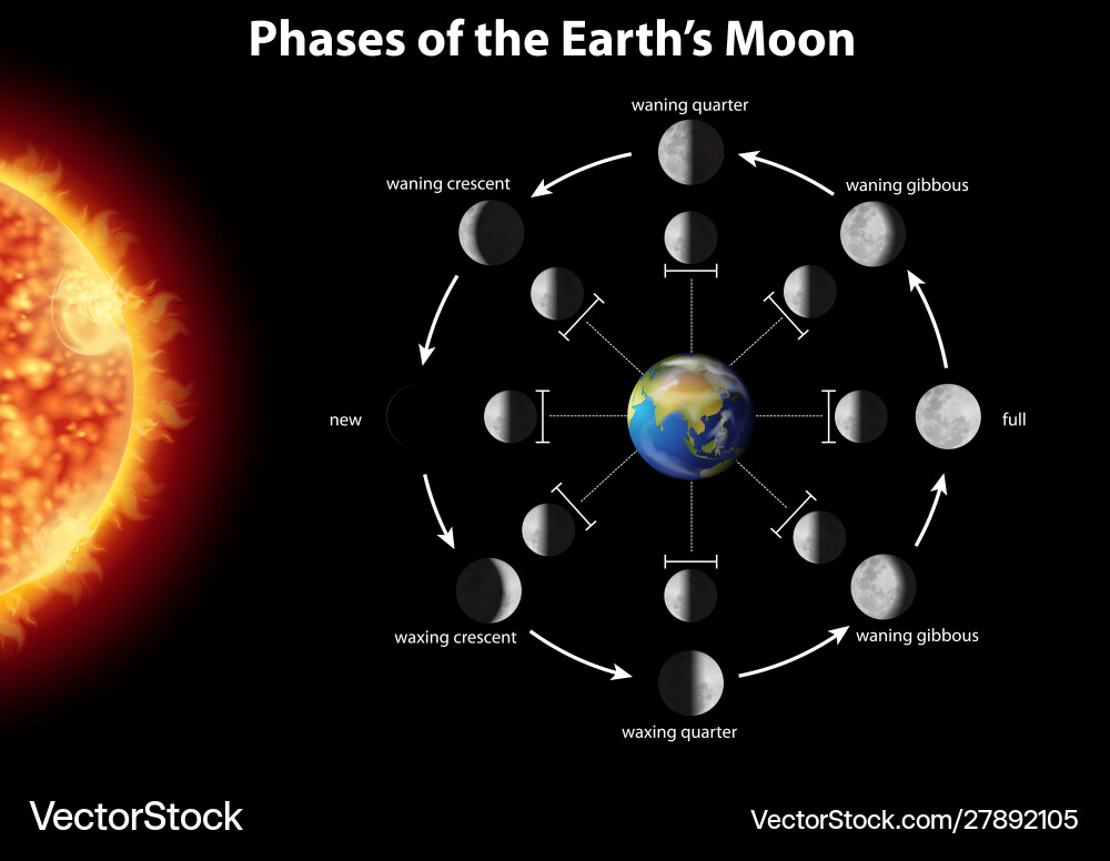 Waning Cresent Moon Diagram 15 Waning Crescent Moon High Res