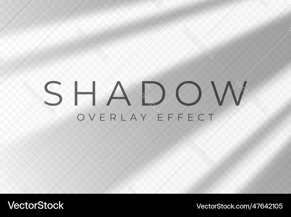 Shadow overlay effect transparent soft light Vector Image