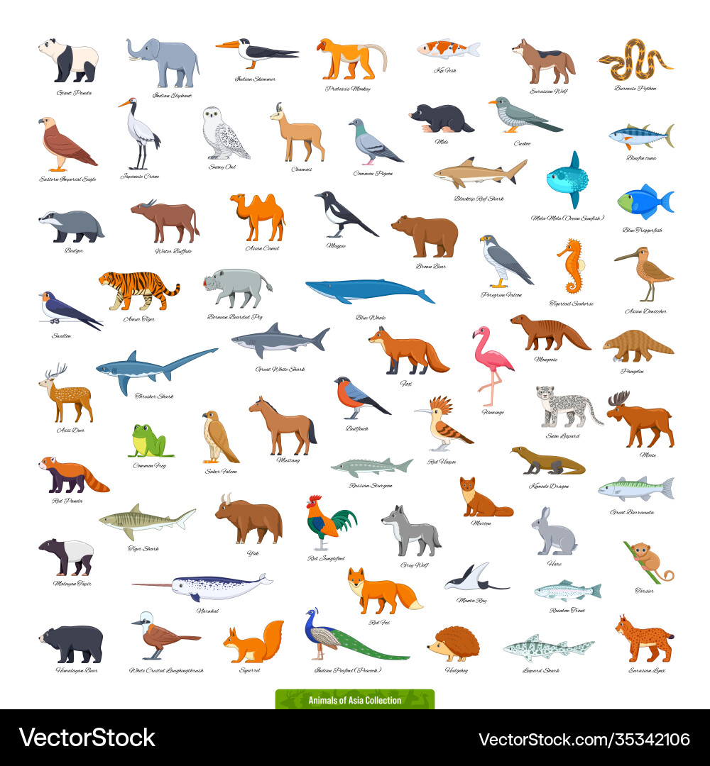 Asian Animals Collection Royalty Free Vector Image