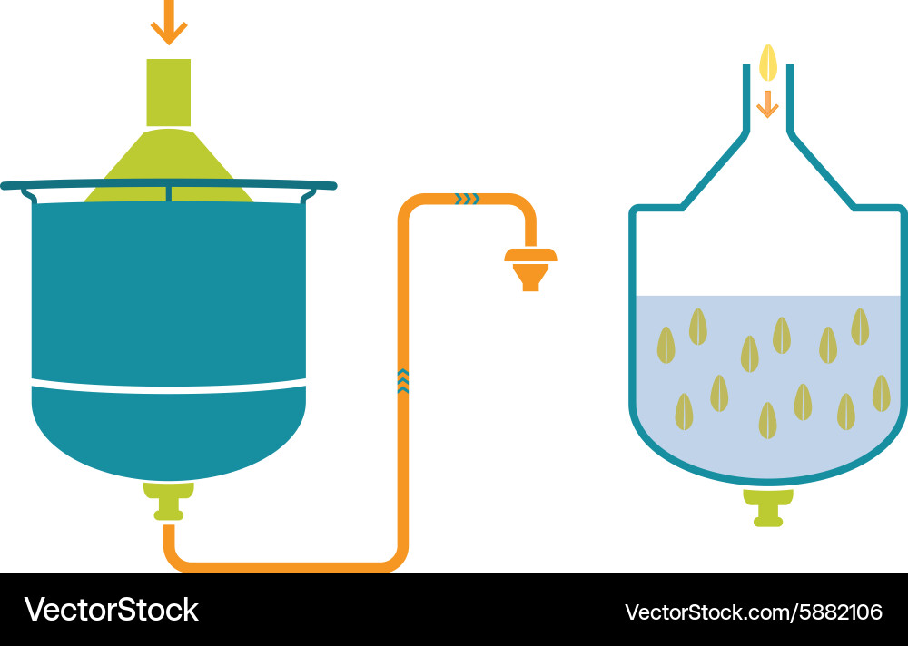 Infographics technology of beer production Vector Image