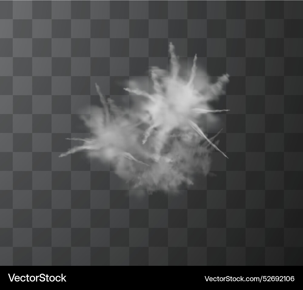 White powder explosion or dust burst effect Vector Image