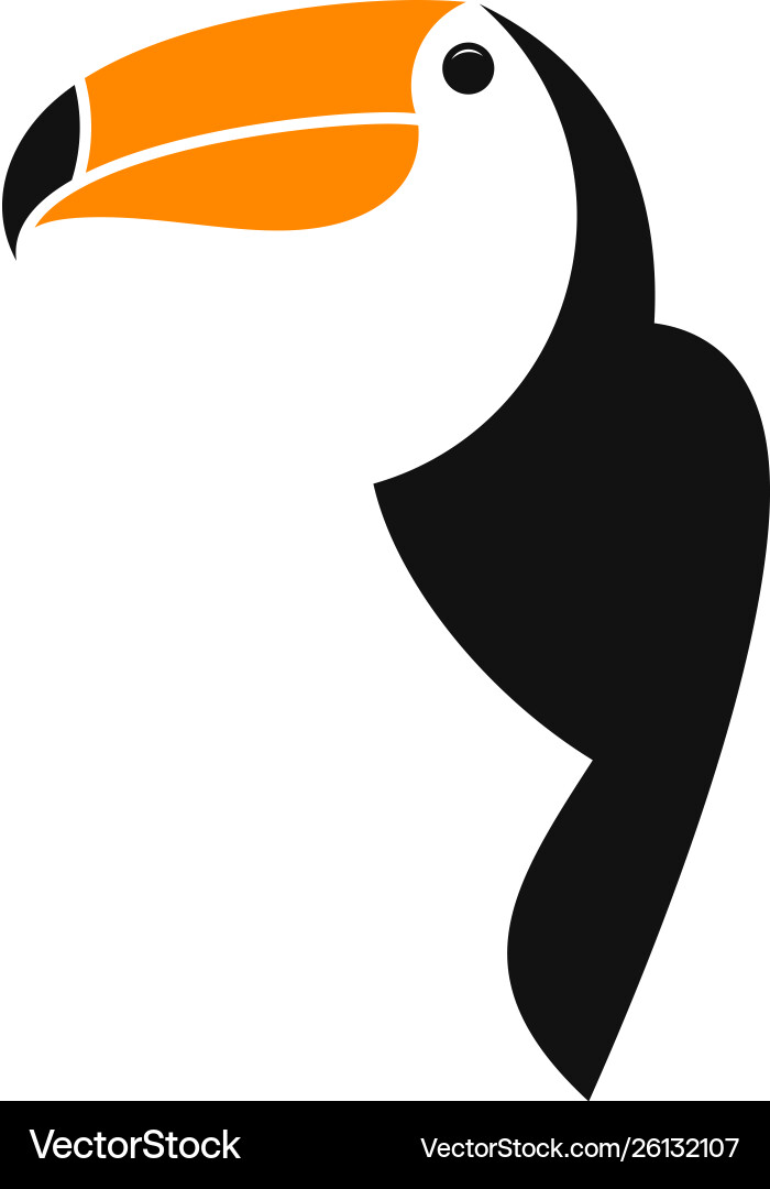 Toucan Royalty Free Vector Image - VectorStock