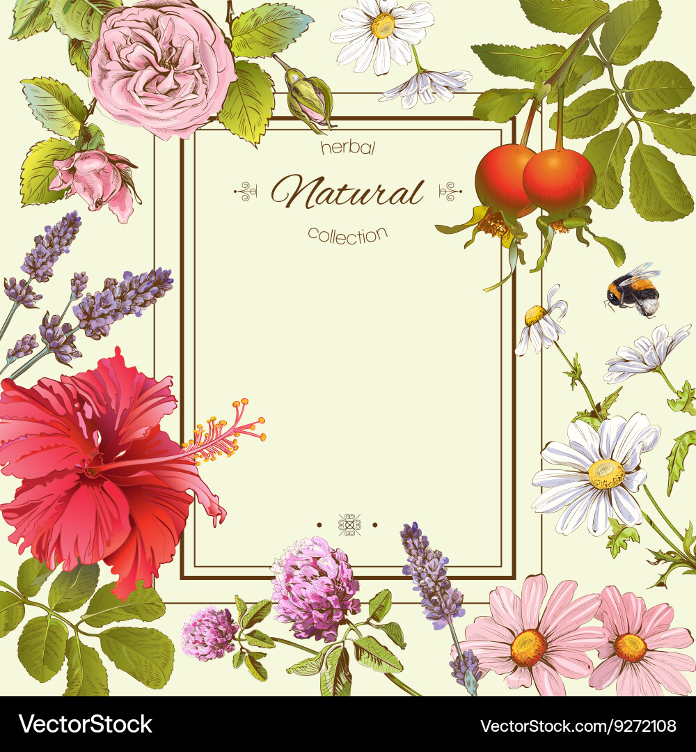 Natural flower frame Royalty Free Vector Image