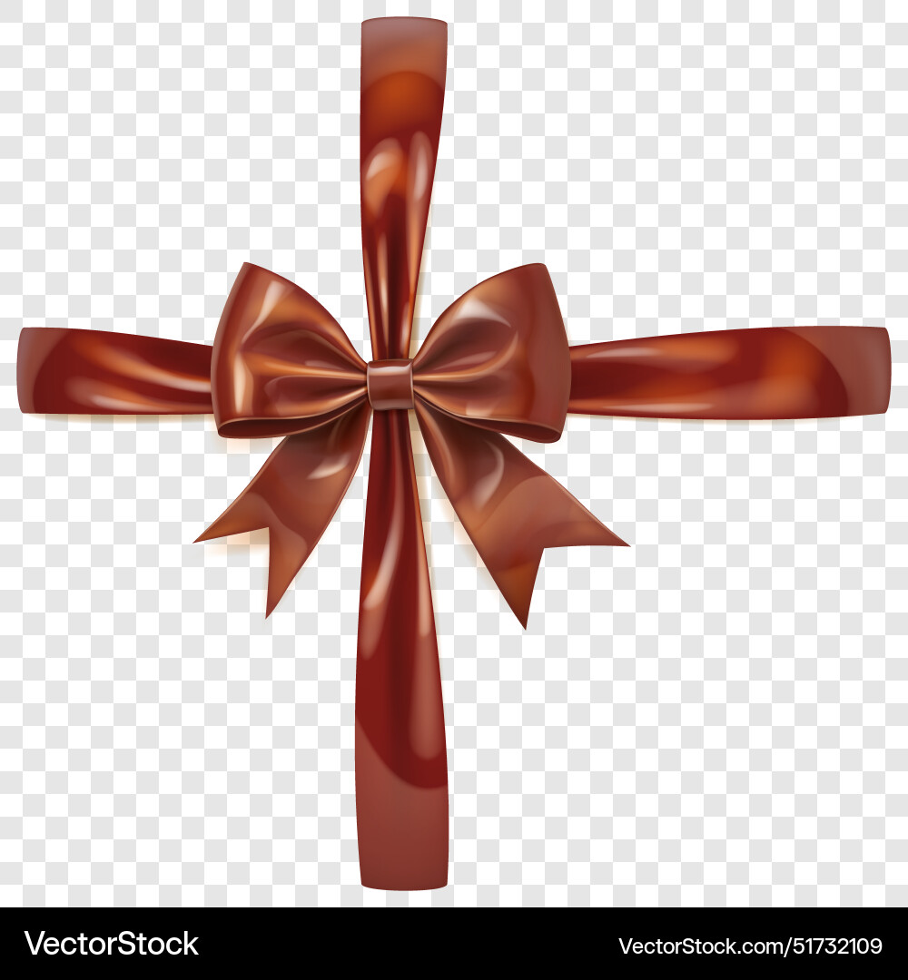 Beautiful big shiny bow with crosswise ribbons Vector Image