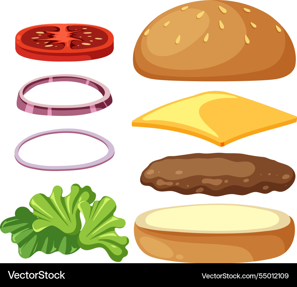 Burger components in layers Royalty Free Vector Image