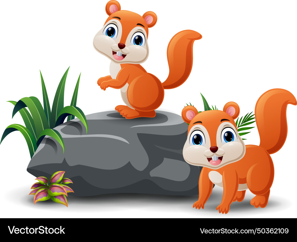 Cute two fox cartoon on the stone Royalty Free Vector Image