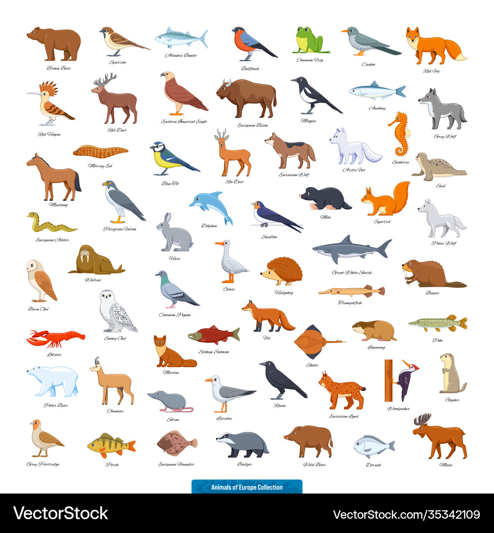 European Animals Cartoon Collection Royalty Free Vector