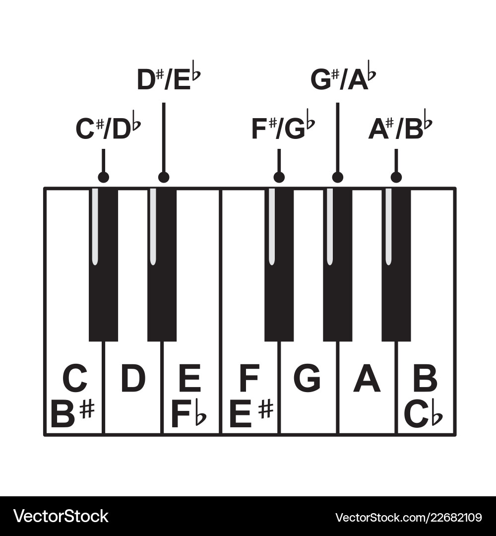 Piano keyboard diagram - layout Royalty Free Vector Image