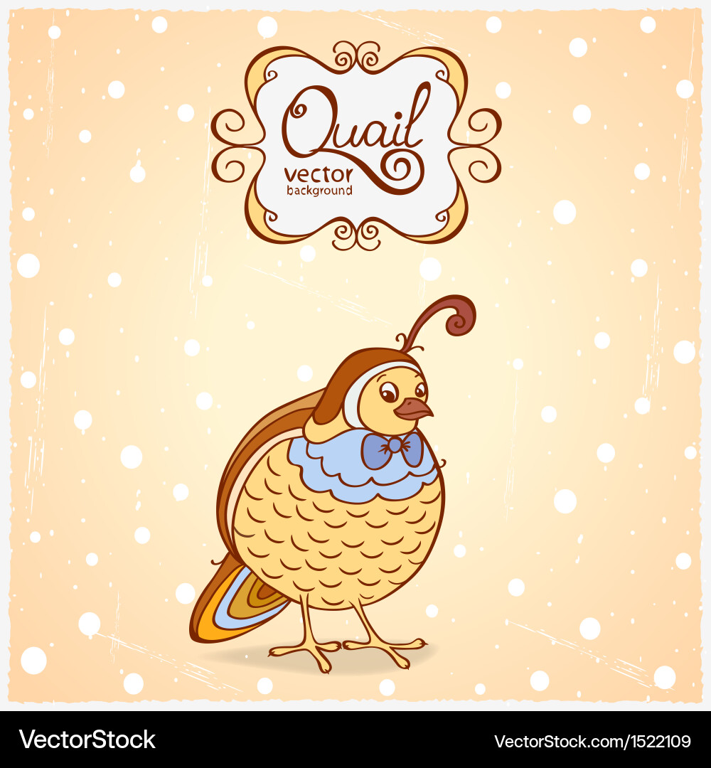 Quail Royalty Free Vector Image - VectorStock