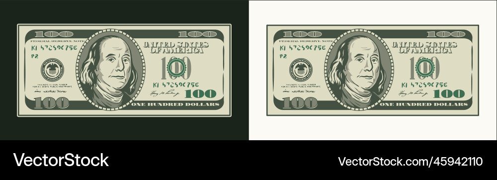 100 dollar banknote with front obverse side Vector Image