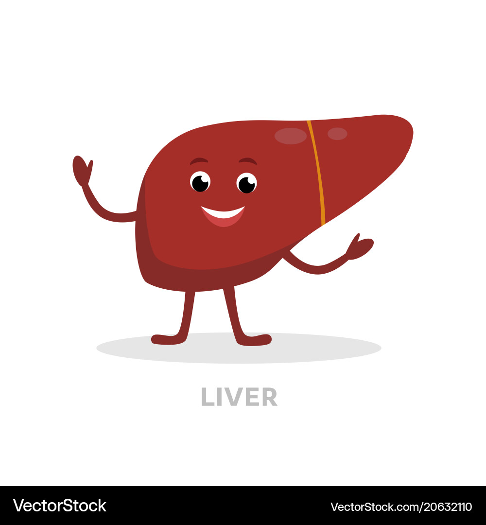 Strong healthy liver cartoon character isolated Vector Image