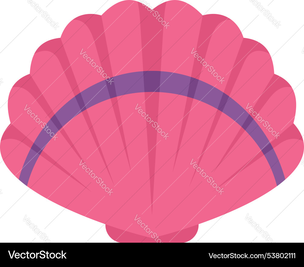 Pink scallop seashell showing marine life concept Vector Image