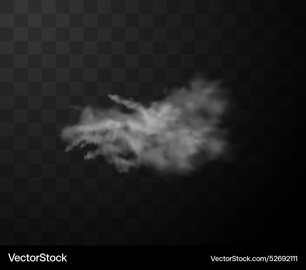 White powder explosion or dust burst with smoke Vector Image