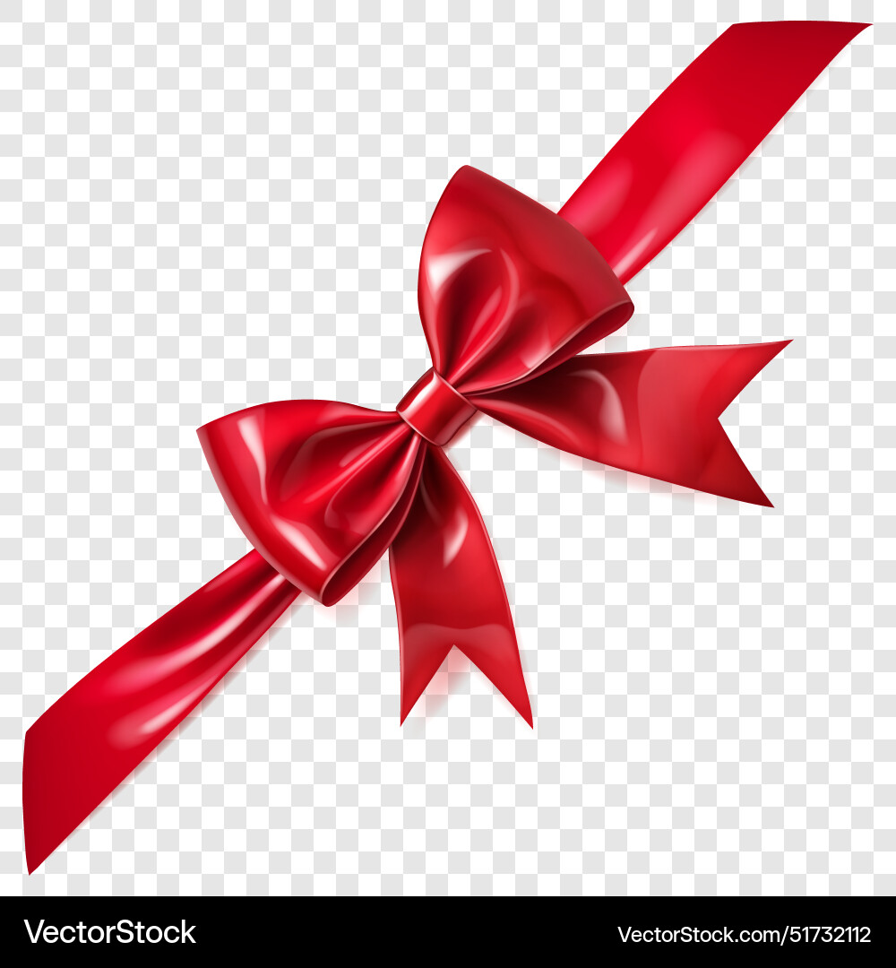 Beautiful big shiny bow with diagonal ribbon Vector Image