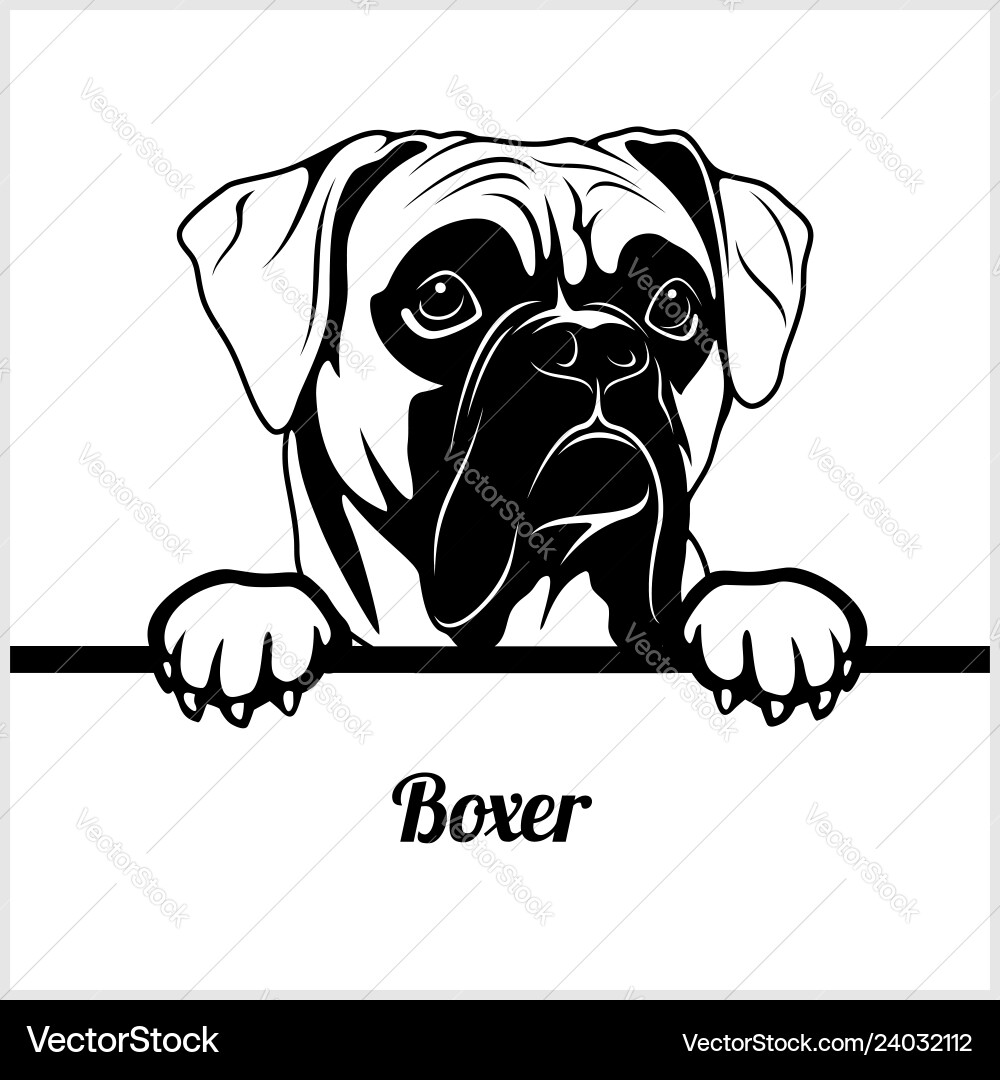 Boxer Dog Head - Peeking Face Royalty Free Vector Image