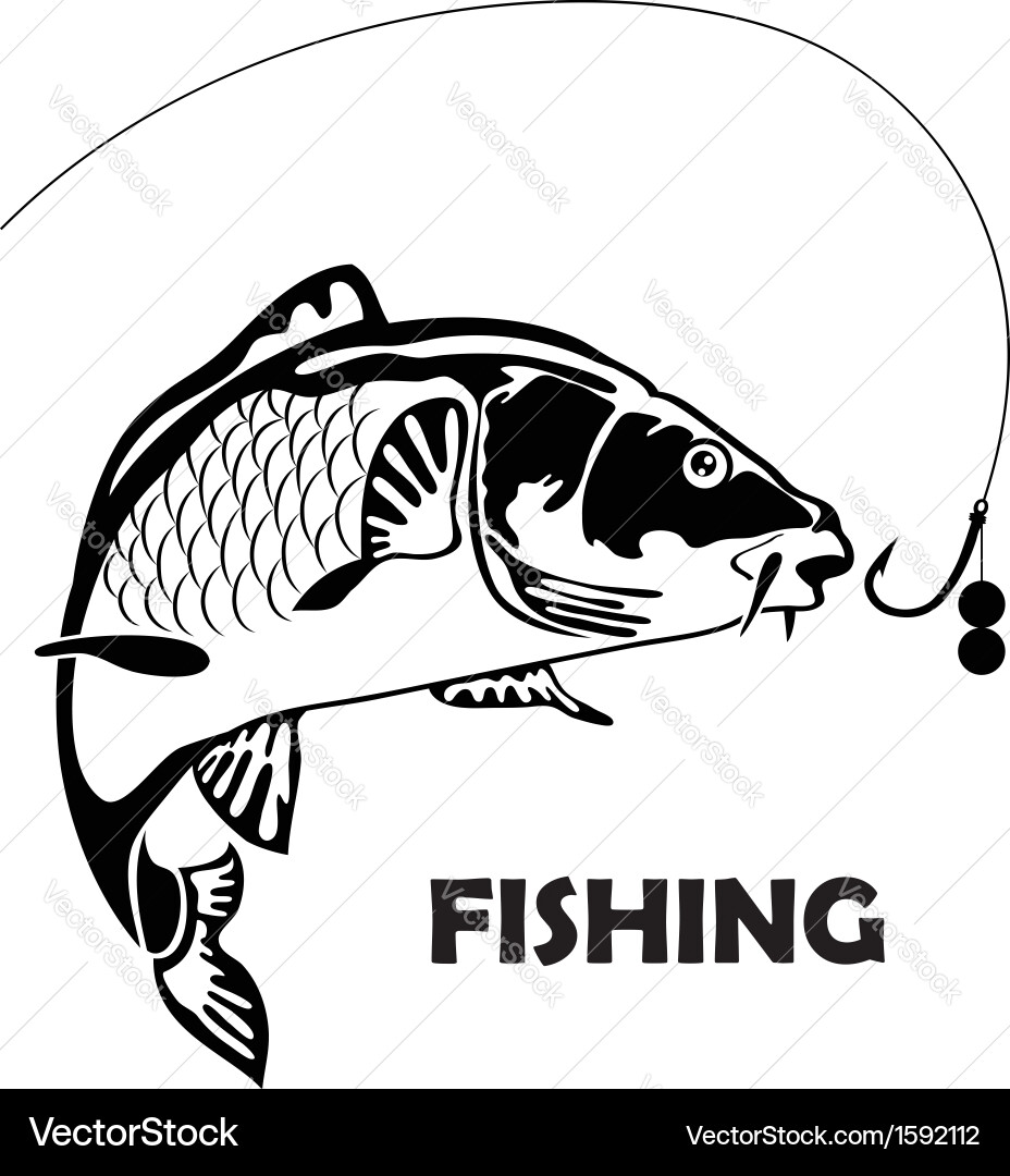 Carp fish Royalty Free Vector Image - VectorStock