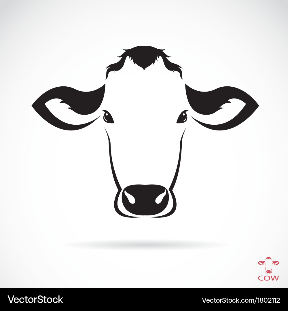 Cow Royalty Free Vector Image - VectorStock