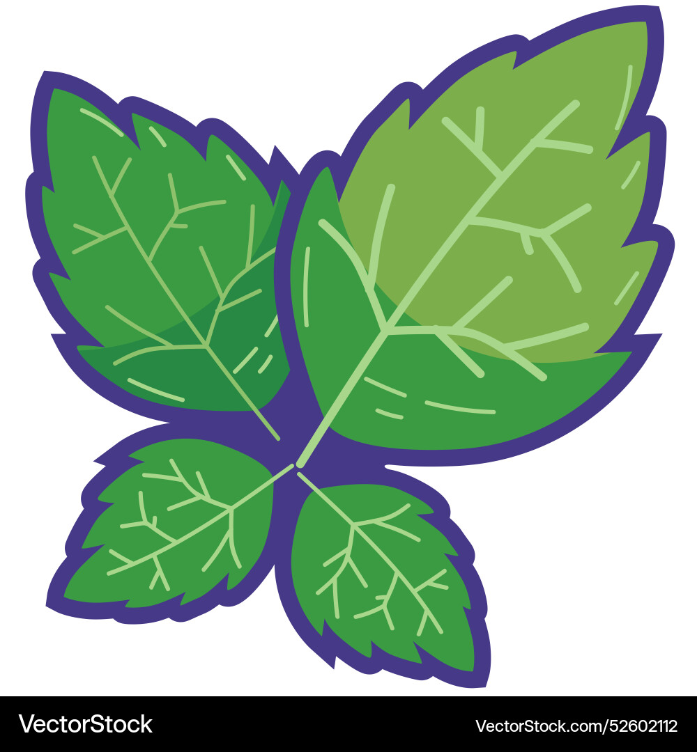 Mint leaf vegetable cartoon icon image Royalty Free Vector