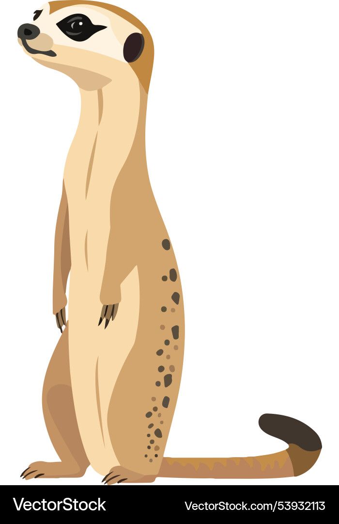 Alert meerkat sentinel Royalty Free Vector Image