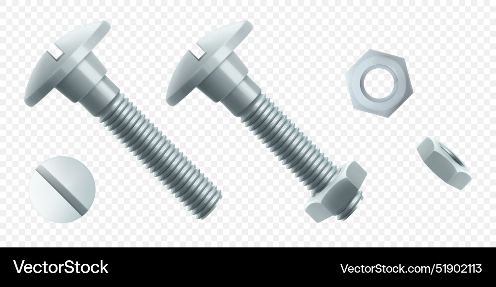 Steel bolts and hex nut isolated on white Vector Image