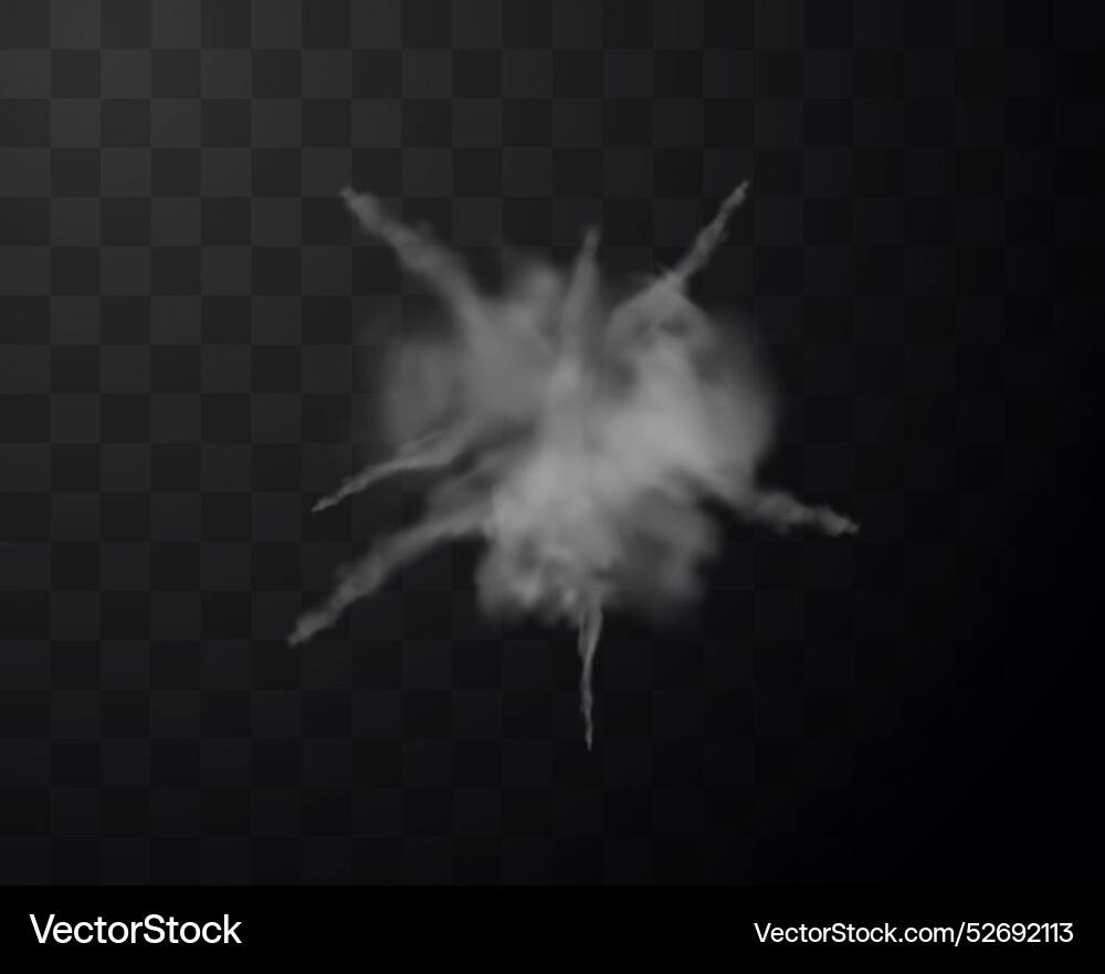 White dust cloud on isolated transparent Vector Image