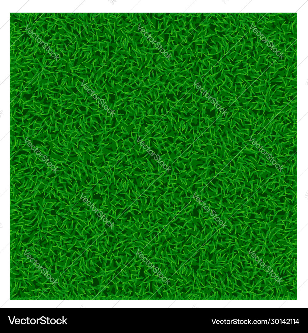 Picture grass lawn Royalty Free Vector Image - VectorStock