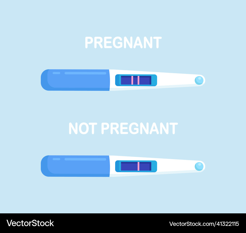 Pregnancy Or Ovulation Positive And Negative Test Vector Image