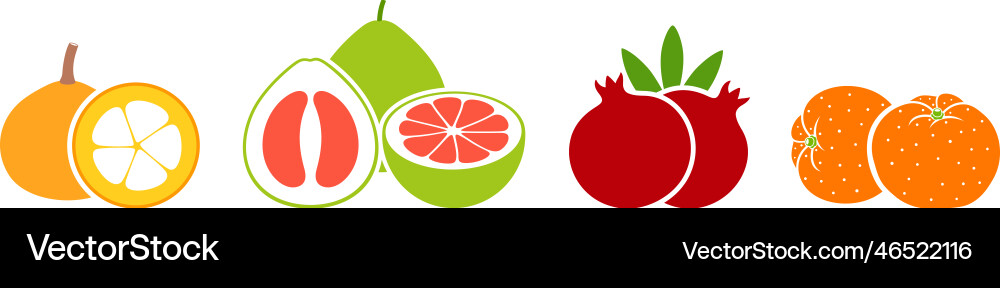 Fruit Royalty Free Vector Image - VectorStock