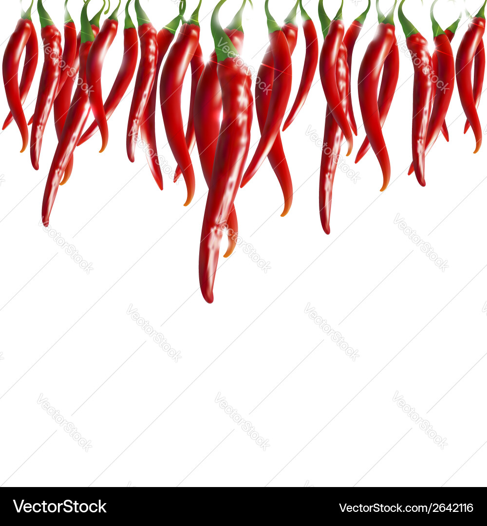 Hot pepper Royalty Free Vector Image - VectorStock