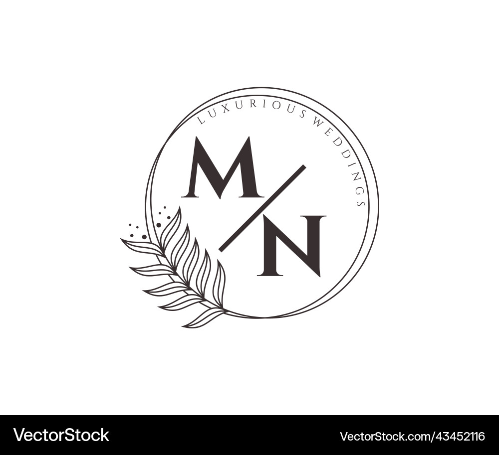 Mn initials letter wedding monogram logos Vector Image