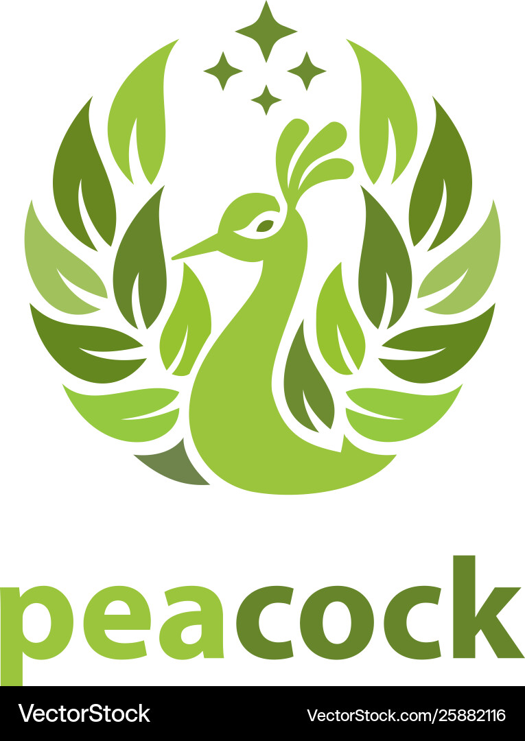 Peacock logo Royalty Free Vector Image - VectorStock