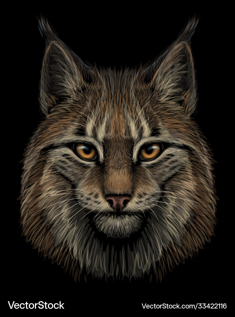 Realistic Lynx Portrait - Detailed Head Shot Vector Image