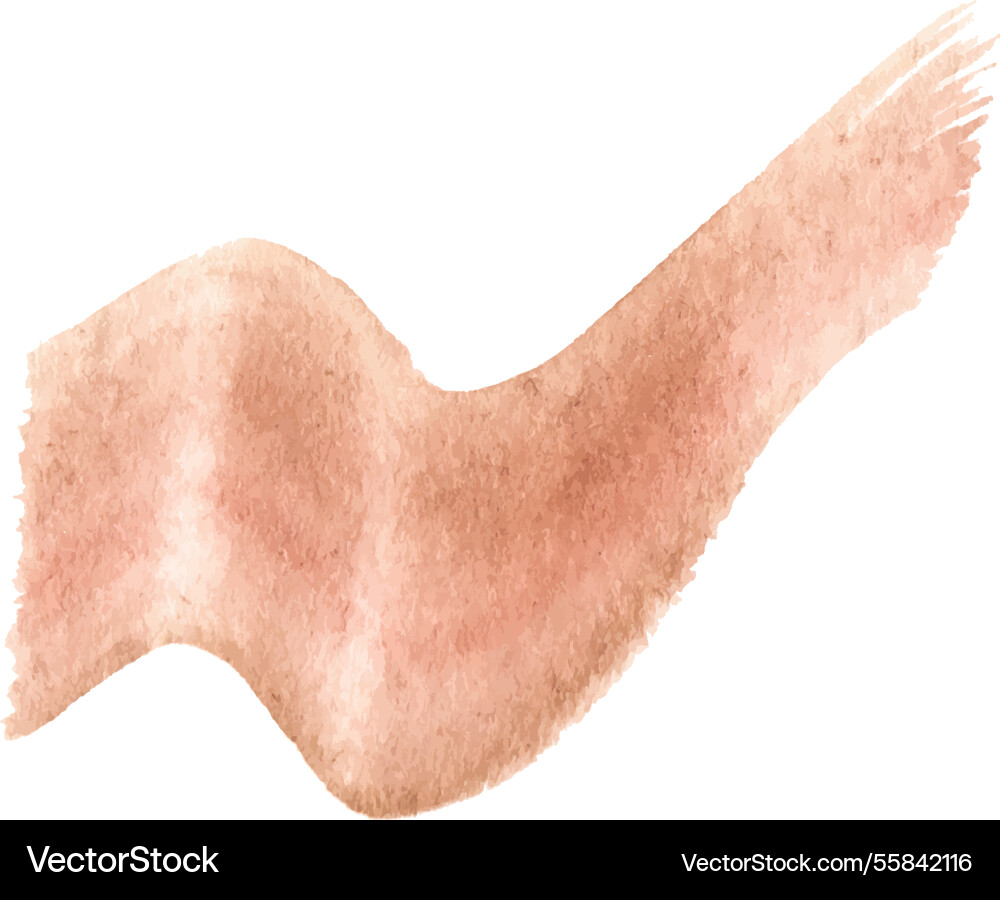 Watercolor painted brush stroke hand drawn design Vector Image