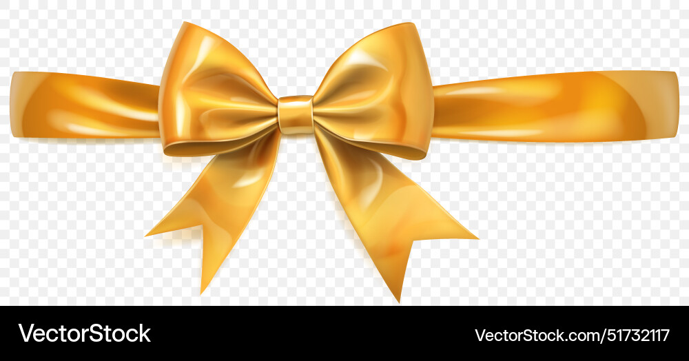 Beautiful big shiny bow with horizontal ribbon Vector Image