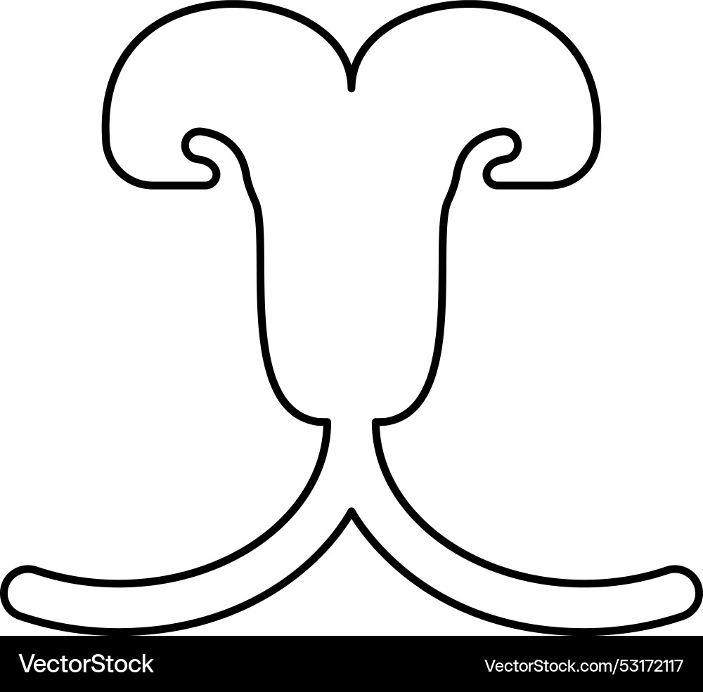 Cats nose mouth cat pet concept veterinary Vector Image