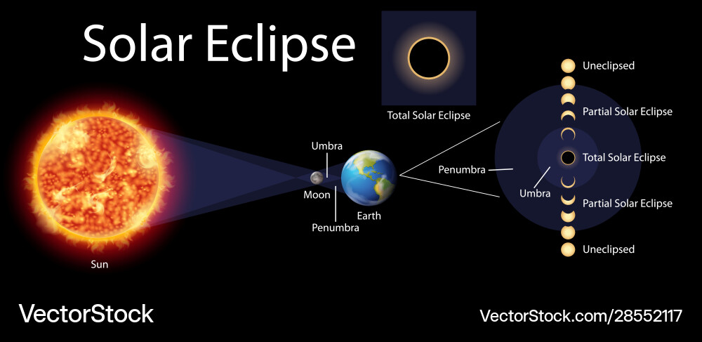 Diagram showing solar eclipse with sun and earth Vector Image