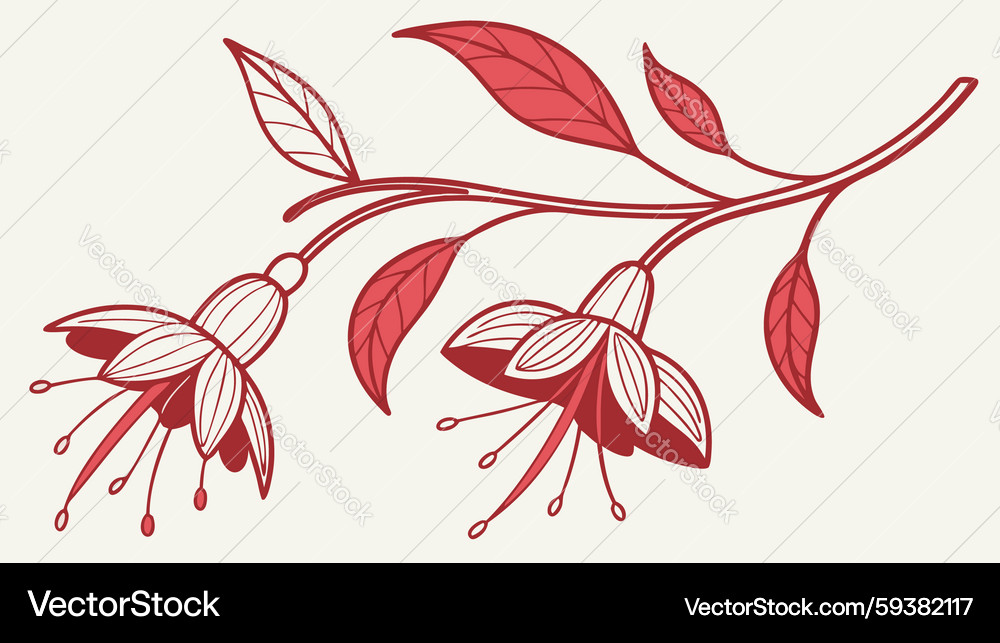Elegant Saffron Flower Branch Line Art – Royalty-Free Vector | VectorStock