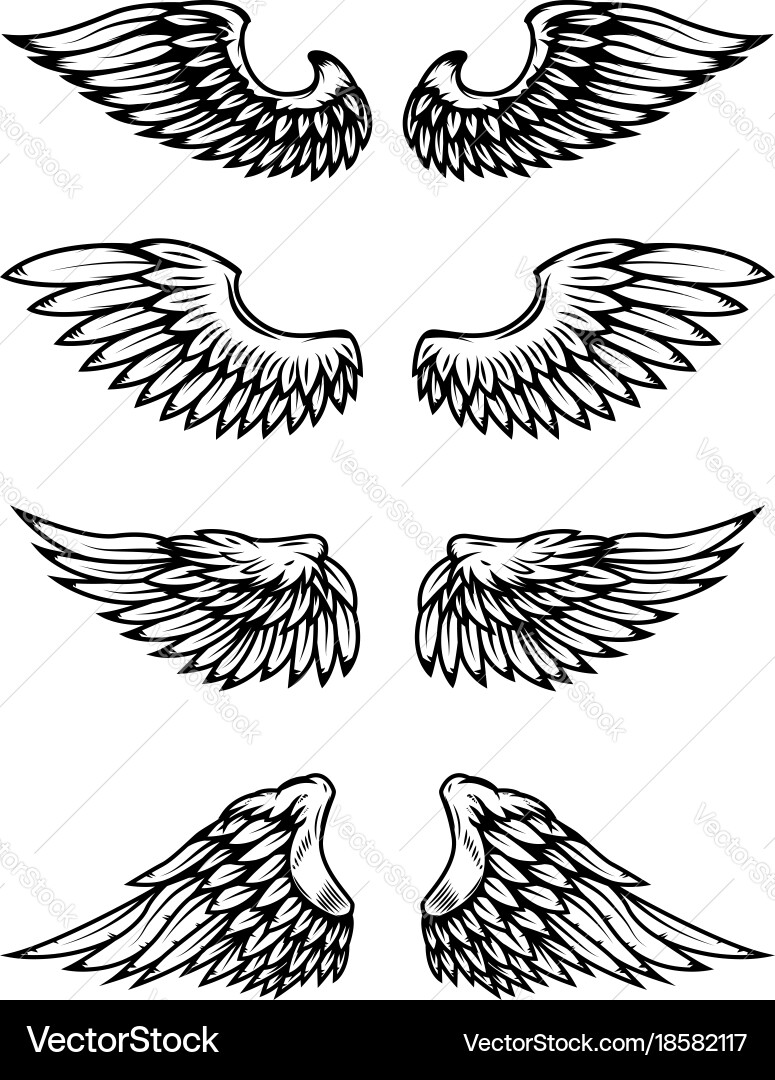 Wing Symbol Set Royalty Free Vector Image - VectorStock