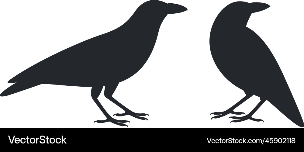 Crow Royalty Free Vector Image - VectorStock