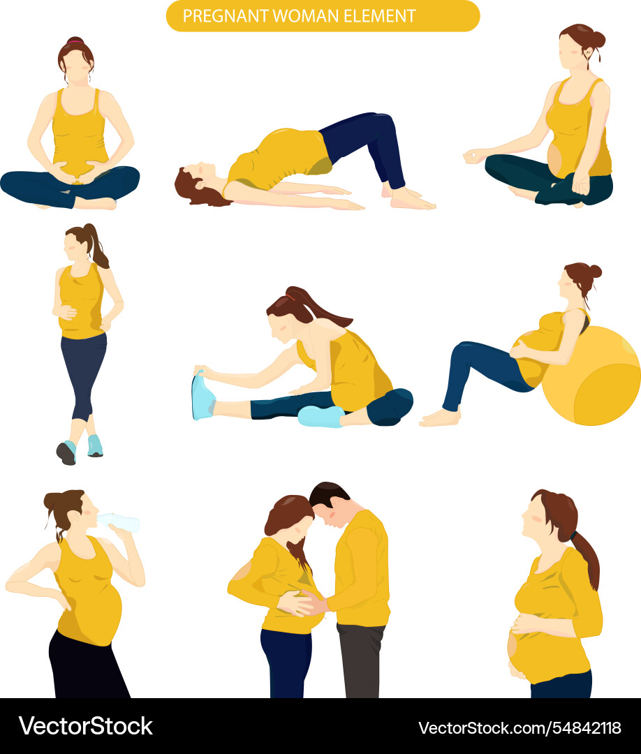 Pregnant woman element Royalty Free Vector Image