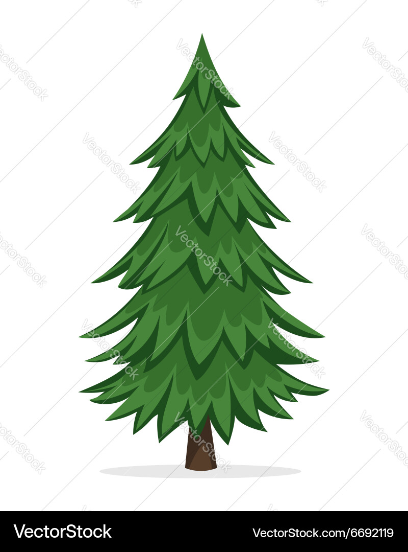 Pine Trees Cartoon