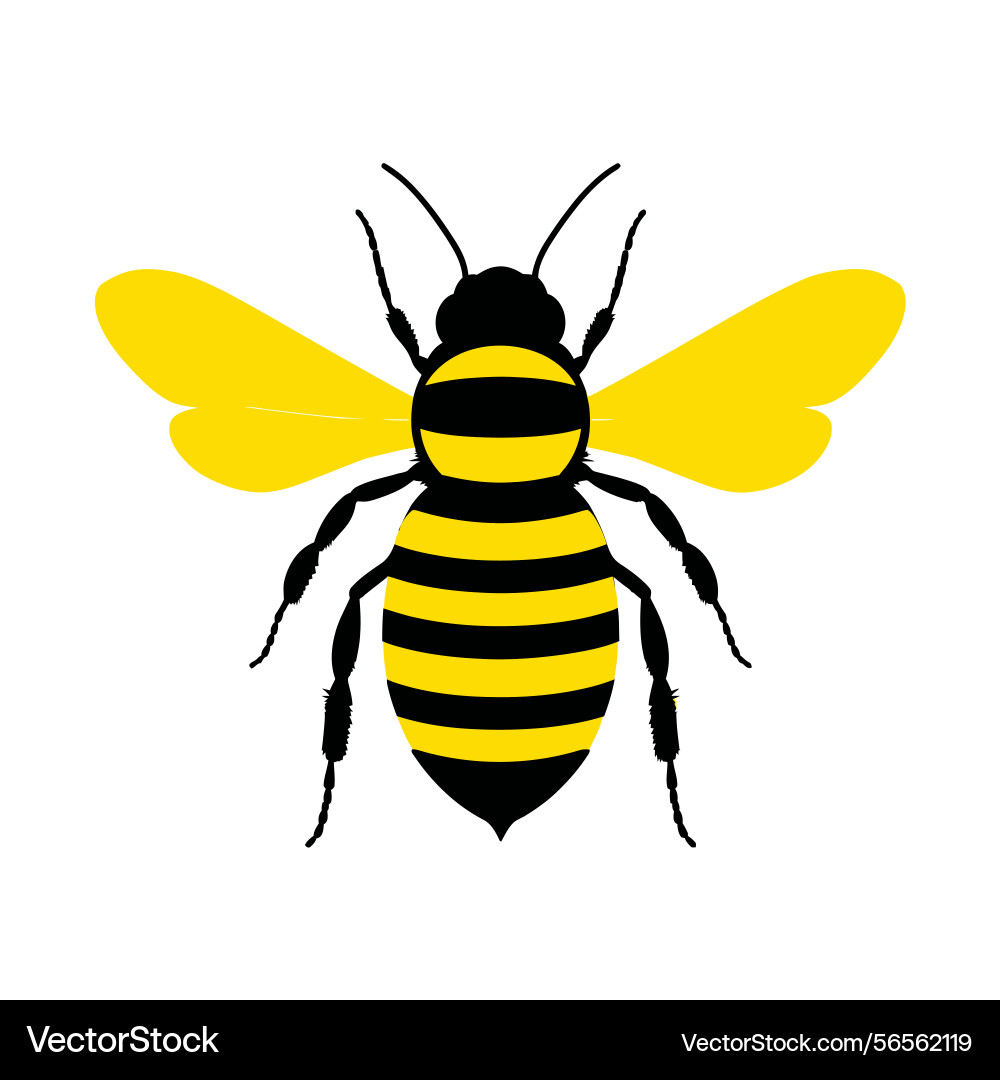 Detailed wasp bee insect sting icon Royalty Free Vector